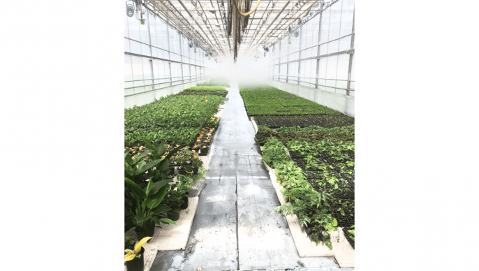 Humidity Control in Agriculture: The Key to Healthier Crops & Higher ...
